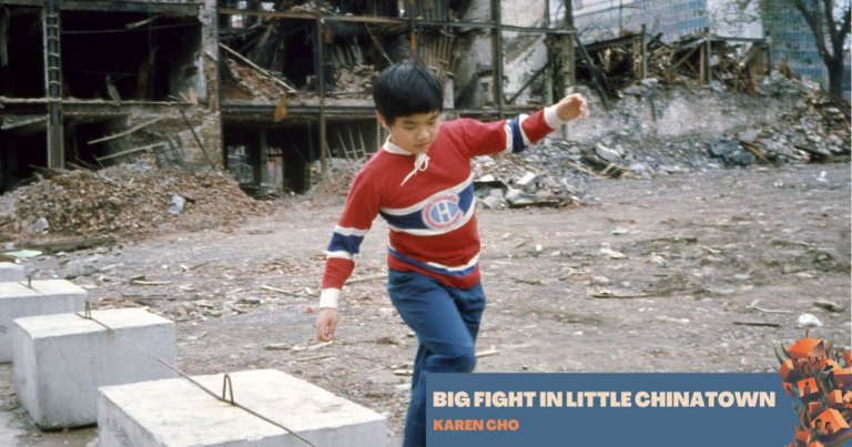 Q&A Panel host with director Karen Cho – Big Fight in Little Chinatown – Amandine Gay